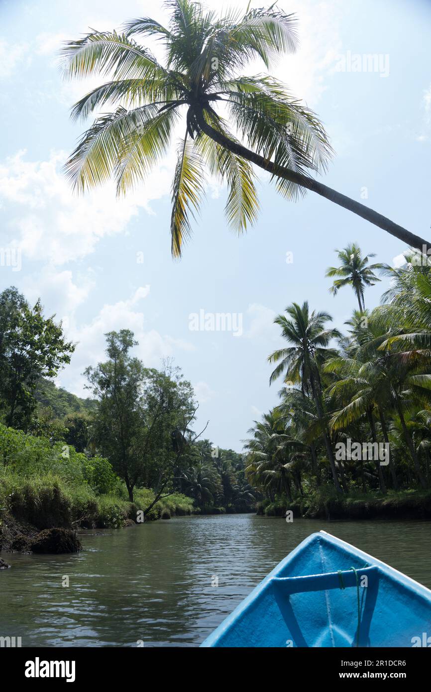 Cruising on the beautiful and calm river with trees at Kali Cokel ...