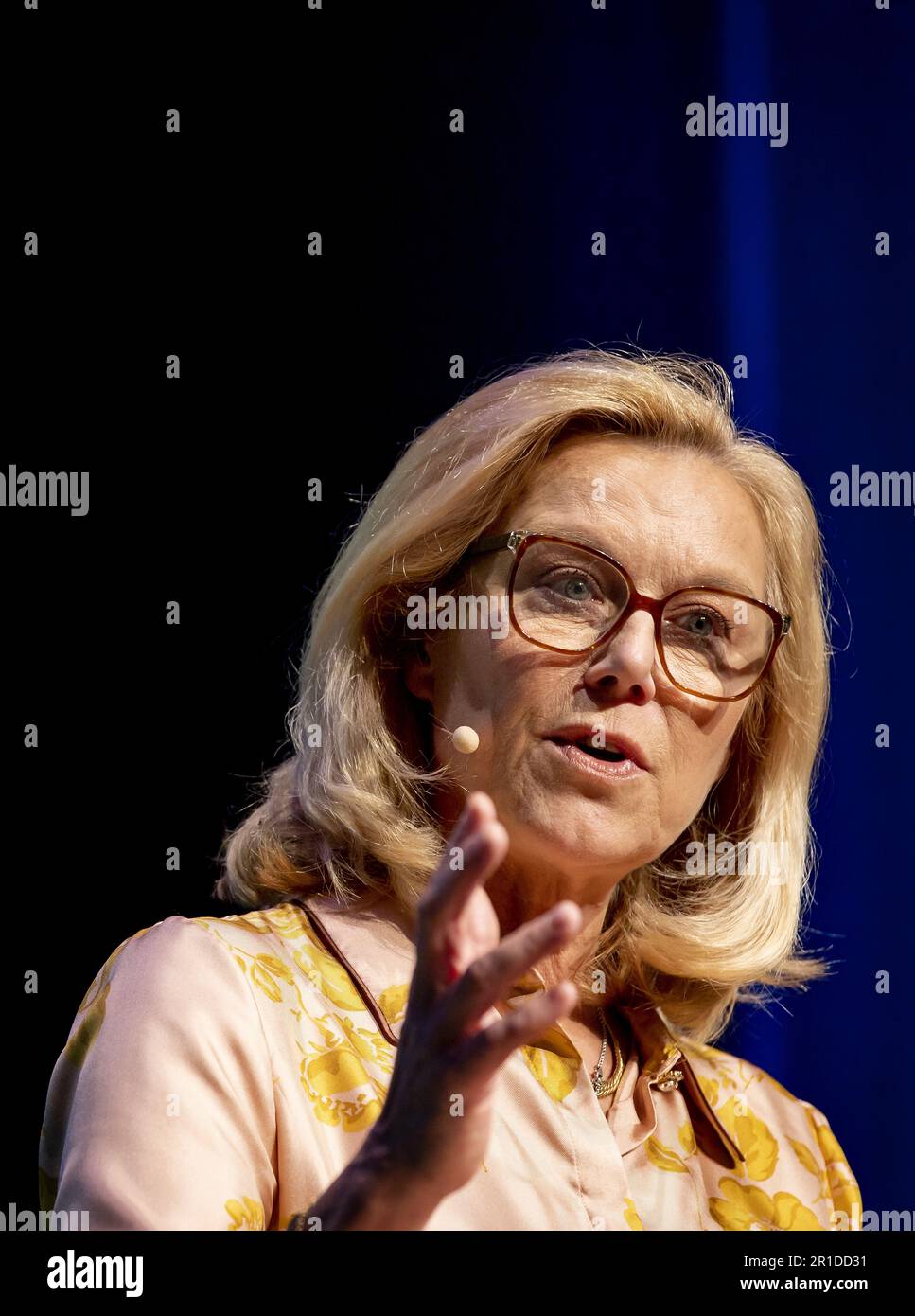 AMSTERDAM - Sigrid Kaag during the 117th party congress of D66 in the ...