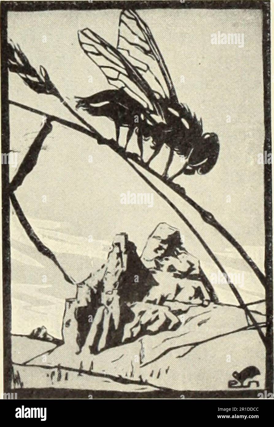 "Ernst Neumann" (1905 Stock Photo - Alamy