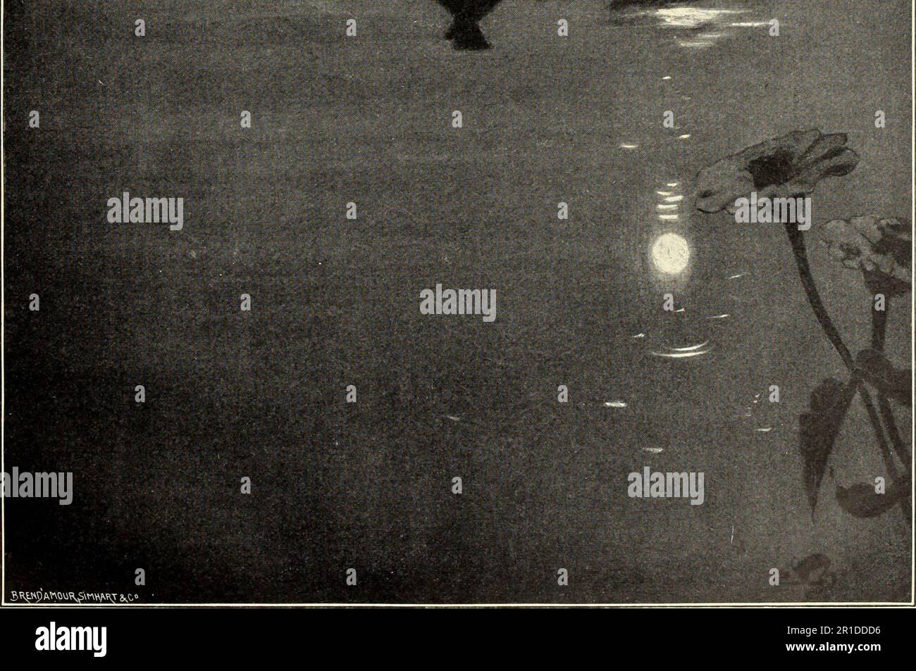 "Ernst Neumann" (1905 Stock Photo - Alamy