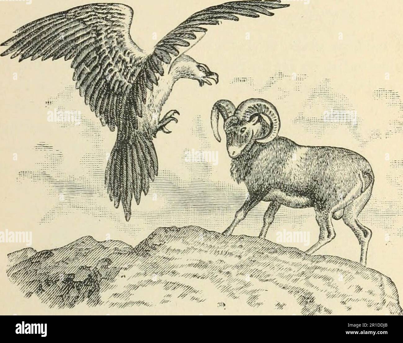 "The world's inhabitants; or, Mankind, animals, and plants; being a ...