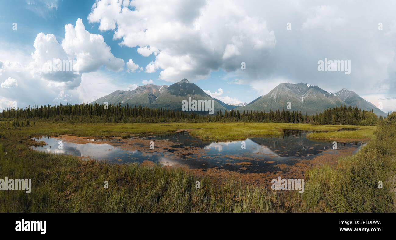Serenity lake in tundra on Alaska with reflection. Denali highway and ...