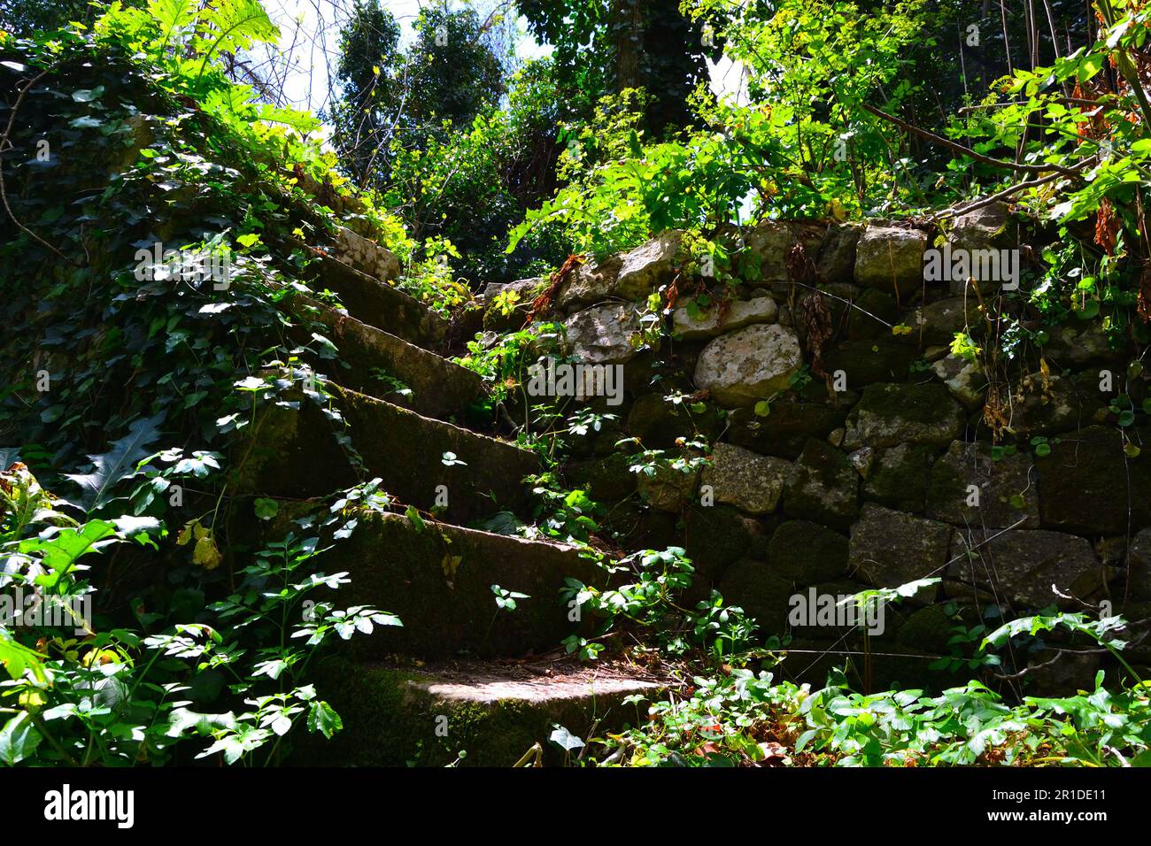 Natural stone wall stairs garden hi-res stock photography and images ...
