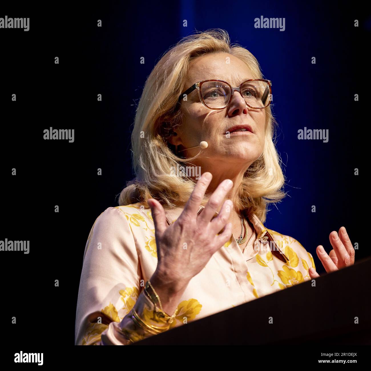 AMSTERDAM - Sigrid Kaag during the 117th party congress of D66 in the ...
