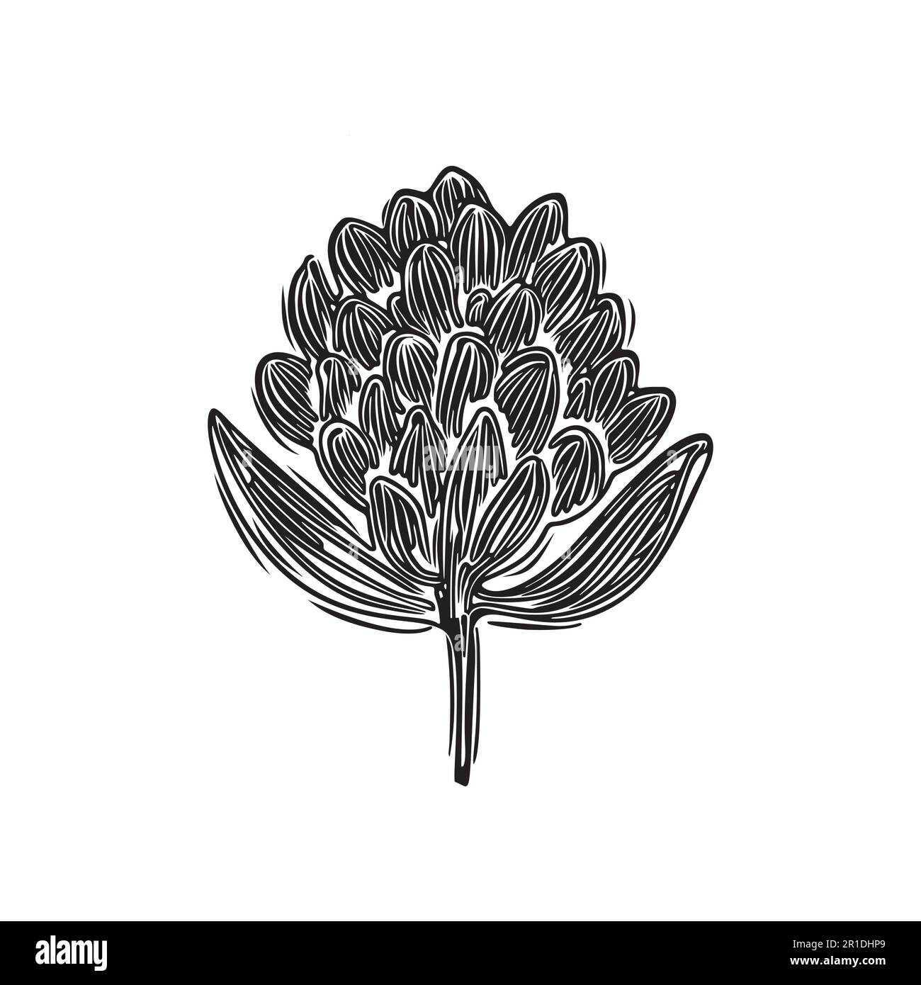 Linotype floral whimsical vector illustration. Handmade design of ...