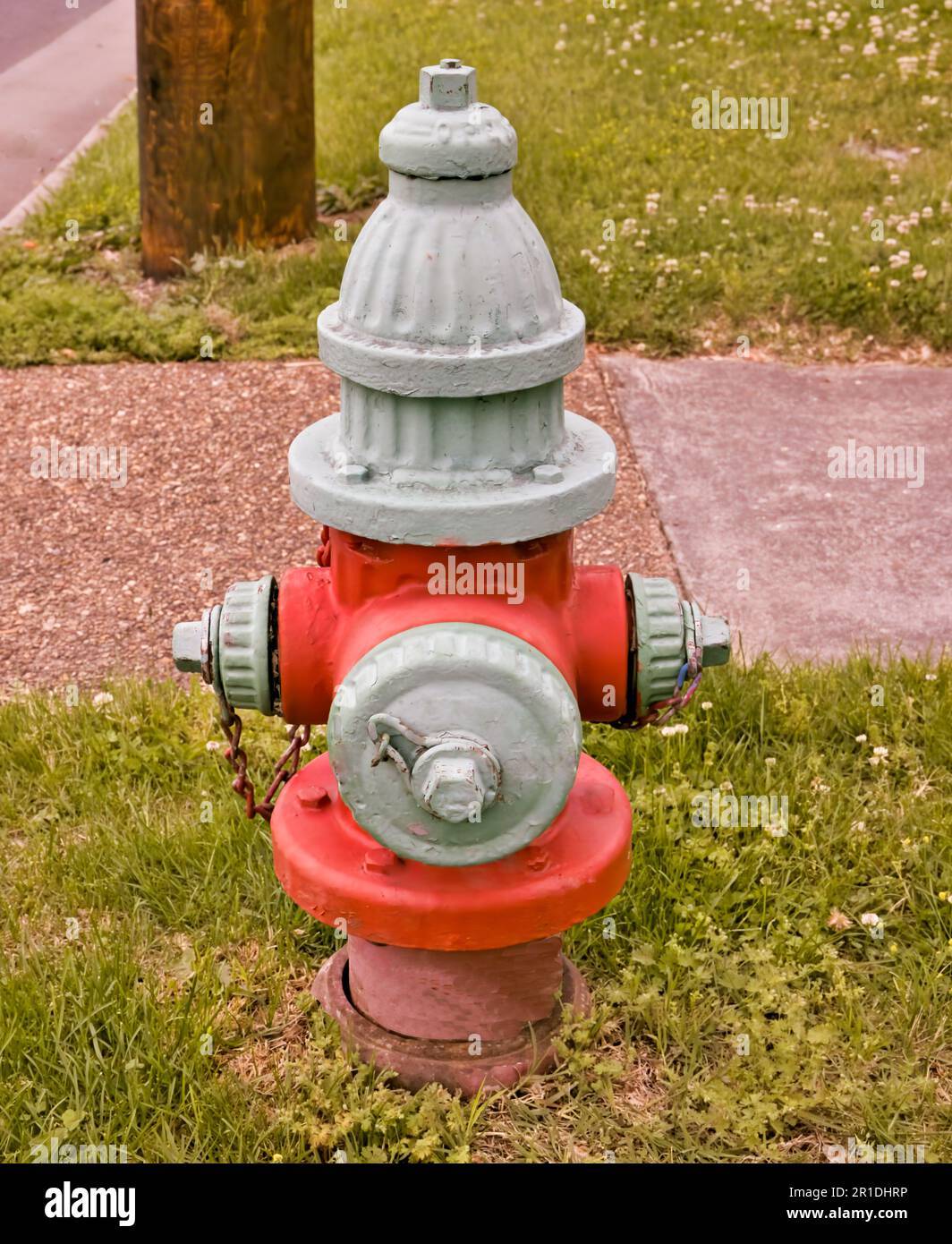 Colorful fire hydrant in city Stock Photo - Alamy