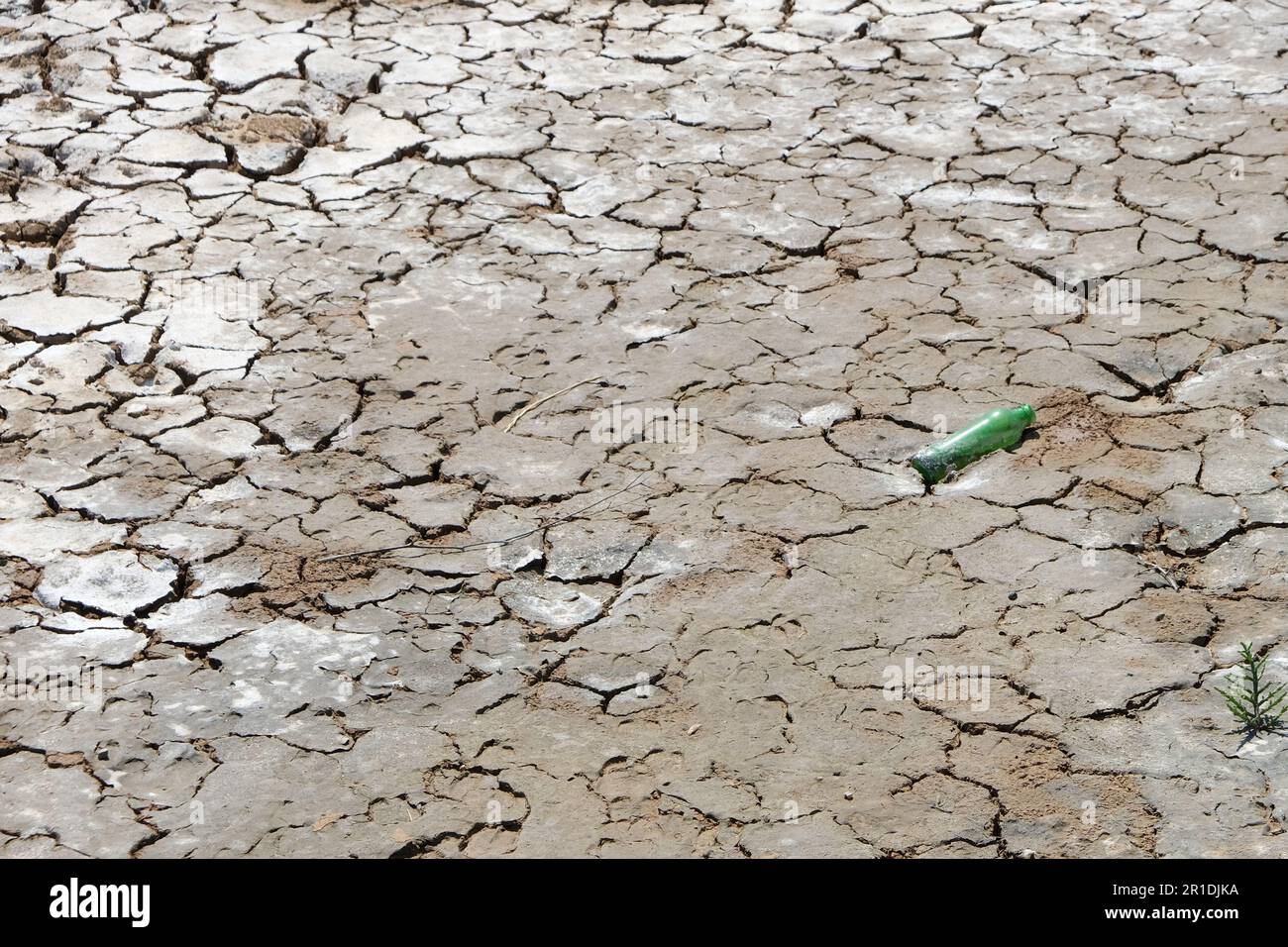 Old used glass bottle inside drought ground cracks. Dry land in the dry ...