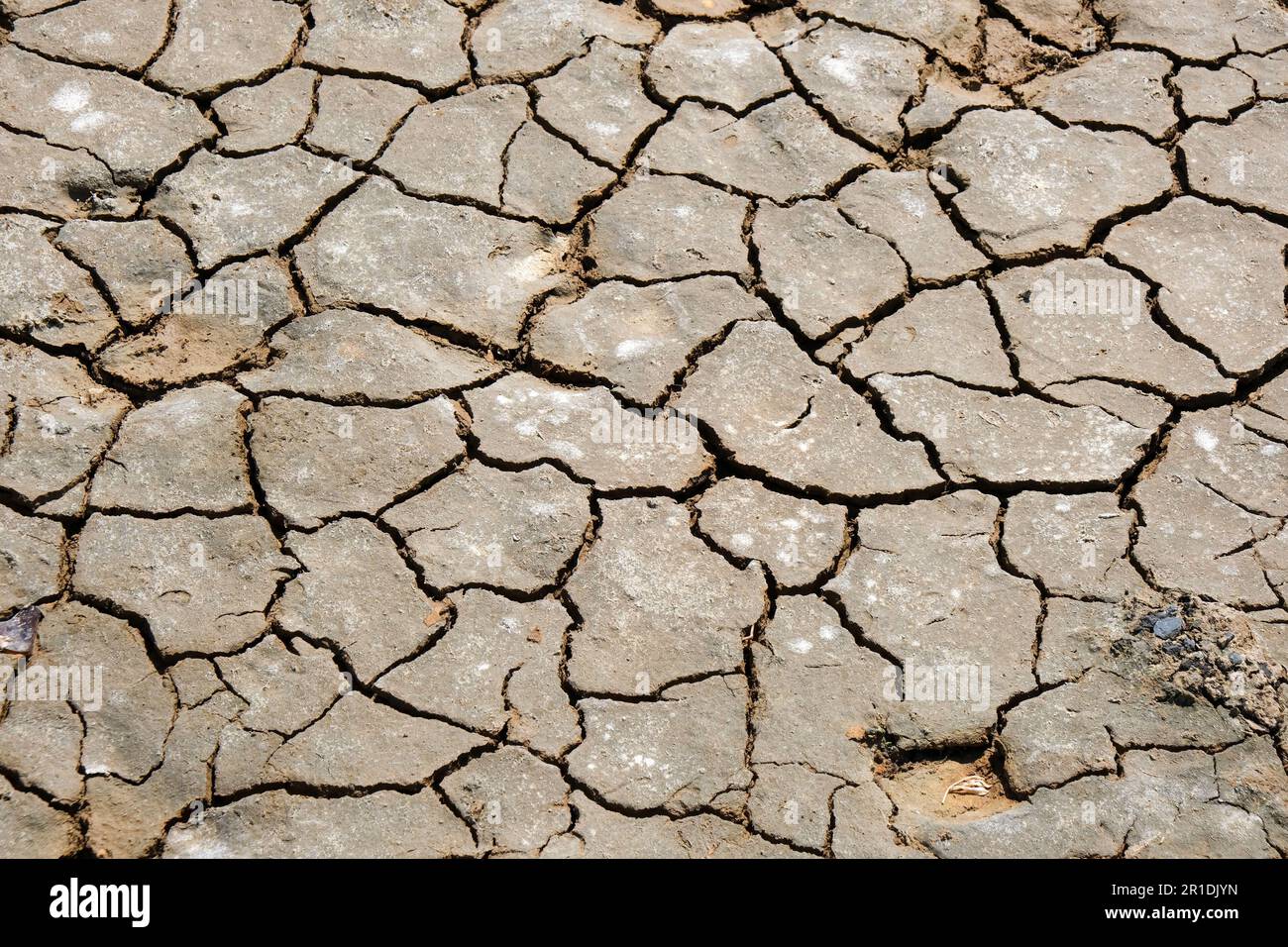 Drought, ground cracks, no hot water. Dry land in the dry season. Lack ...