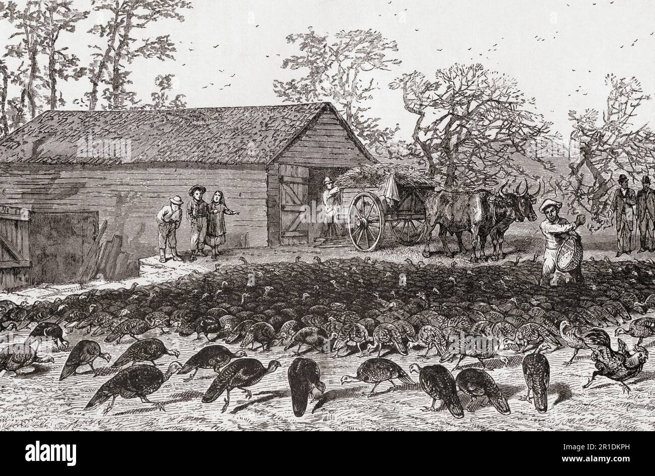 19th century american farm hi-res stock photography and images - Alamy