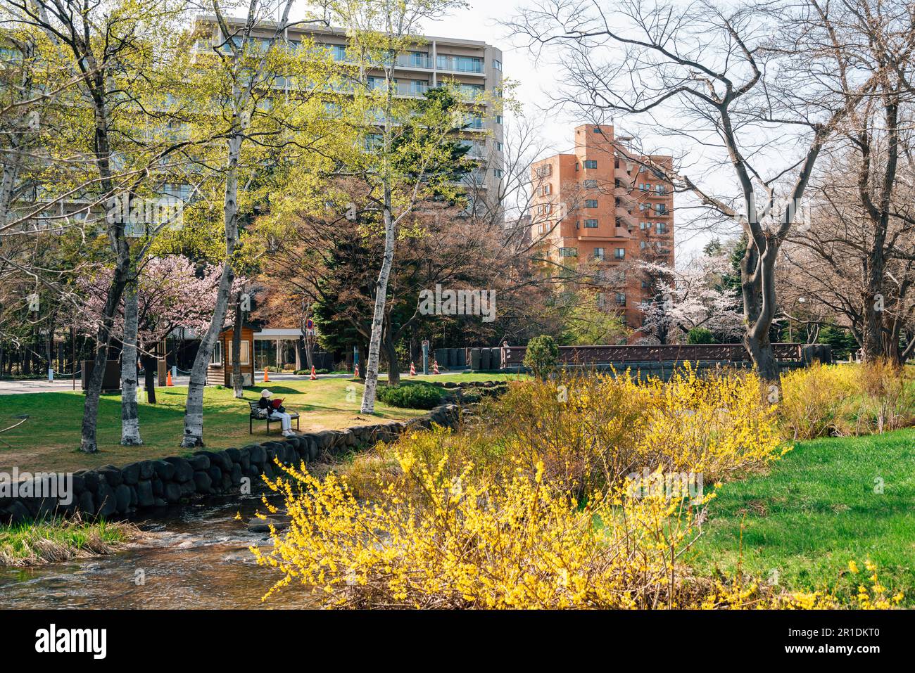 Spring of Nakajima park in Sapporo, Hokkaido, Japan Stock Photo - Alamy