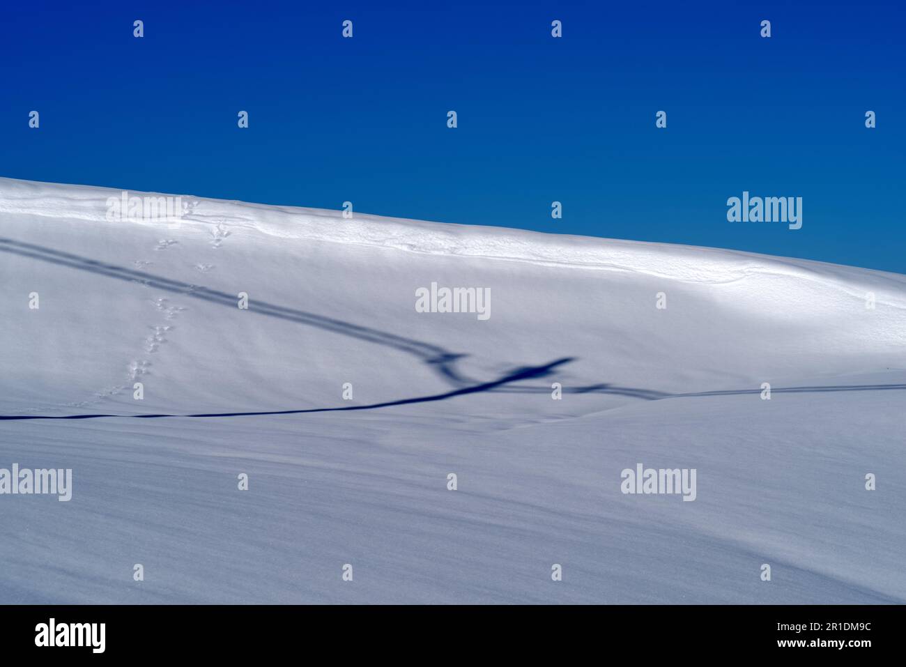 panorama invernale minimal del Carpegna Stock Photo - Alamy