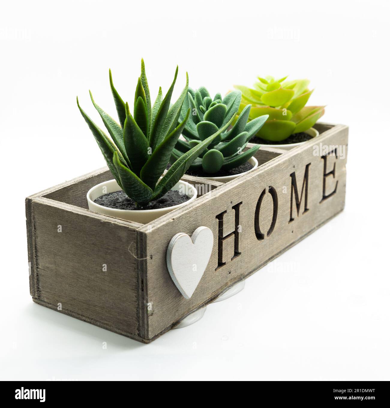 Home garden Cut Out Stock Images & Pictures - Alamy