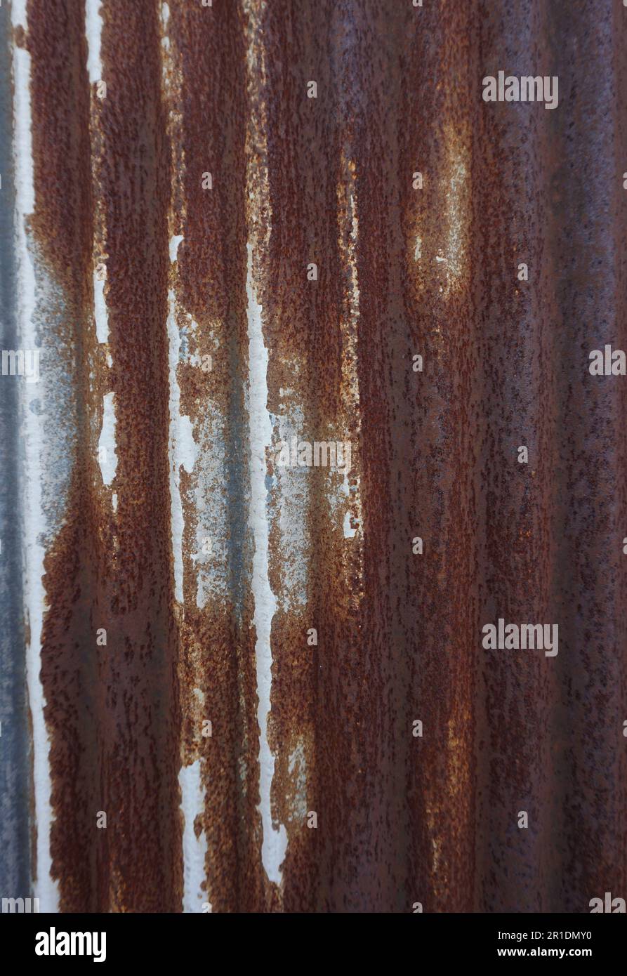 The texture of an old and rusted green steel plate is used as a design ...