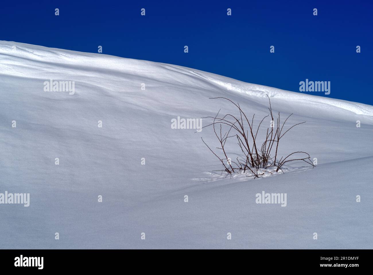 panorama invernale minimal del Carpegna Stock Photo - Alamy