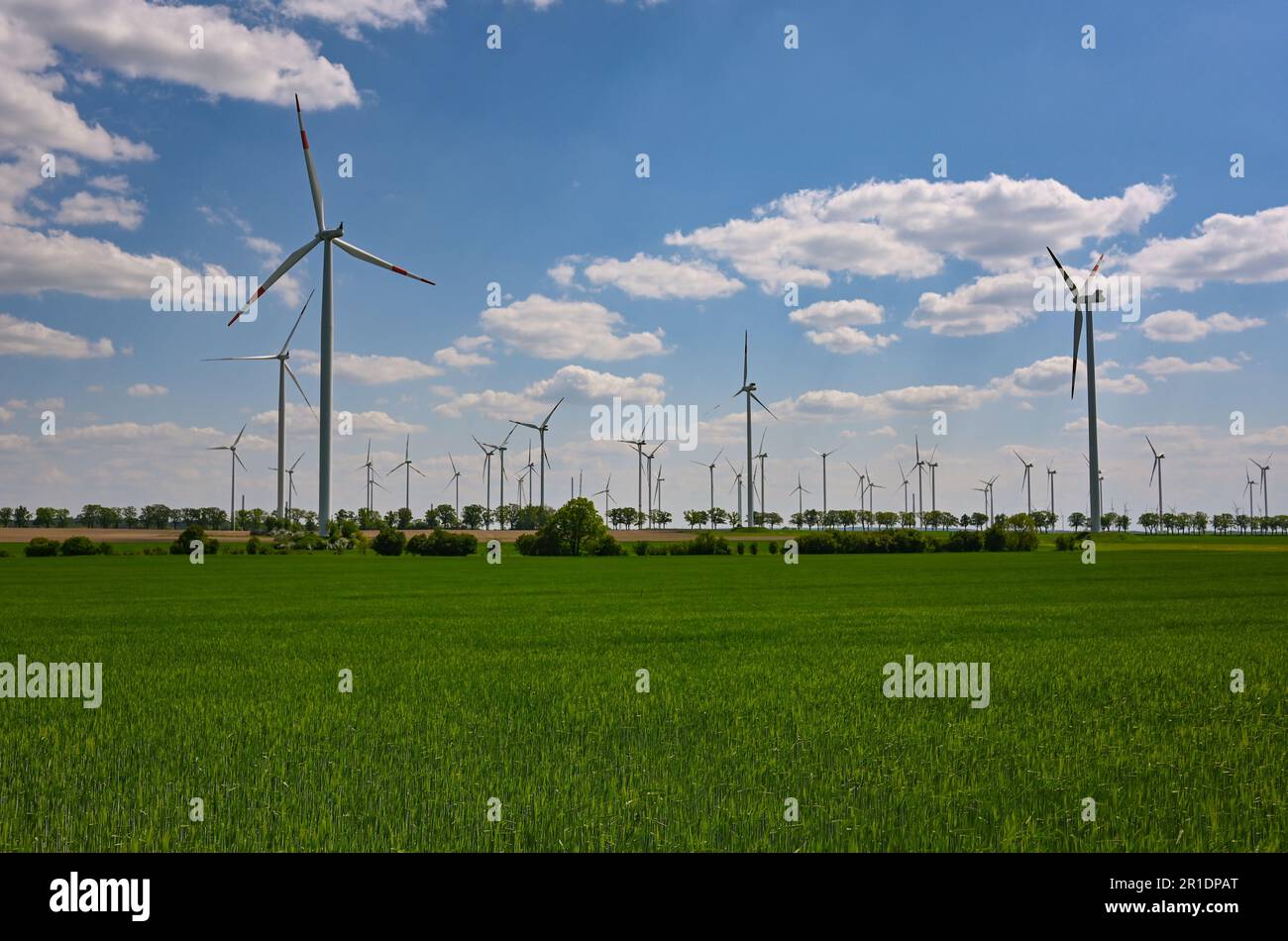 Sieversdorf, Germany. 13th May, 2023. A wind farm. According to the ...