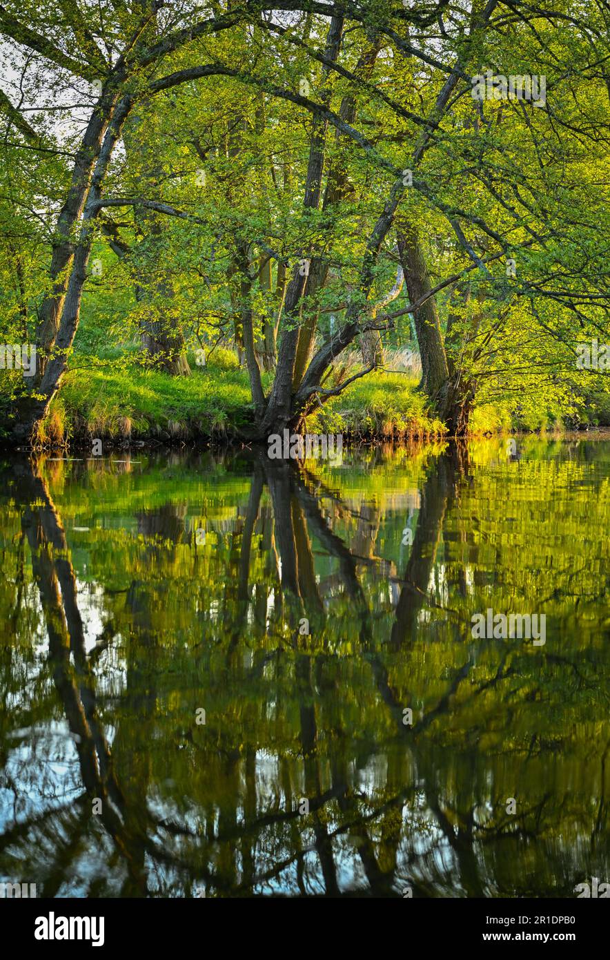 Drahendorf, Germany. 12th May, 2023. The Drahendorfer Spree, a section ...