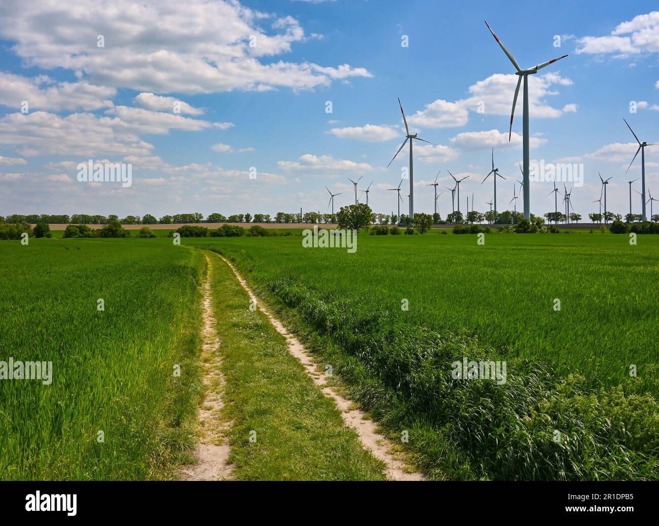 Sieversdorf, Germany. 13th May, 2023. A wind farm. According to the ...
