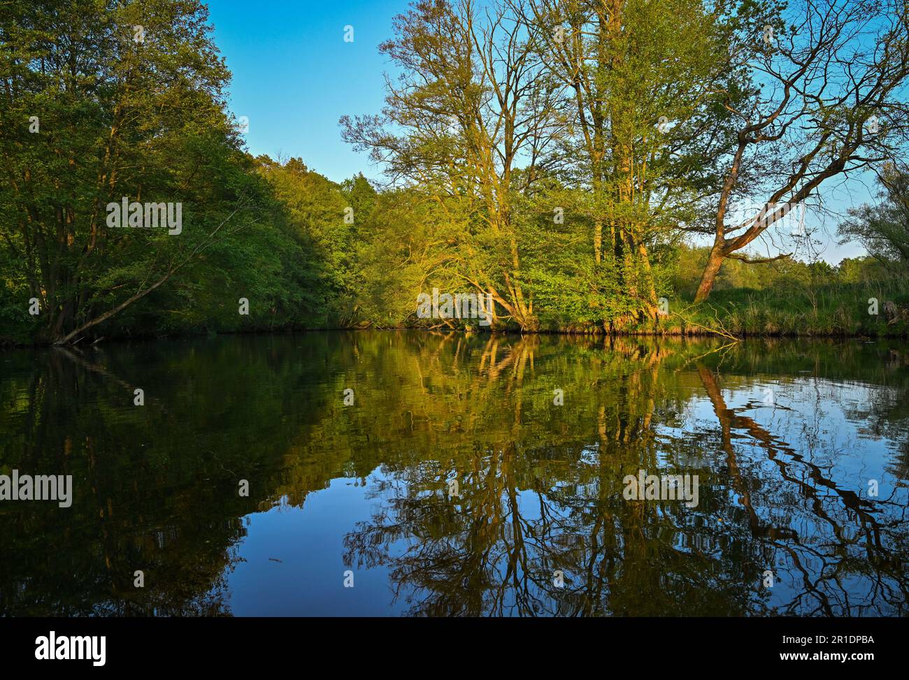 Drahendorf, Germany. 12th May, 2023. The Drahendorfer Spree, a section ...