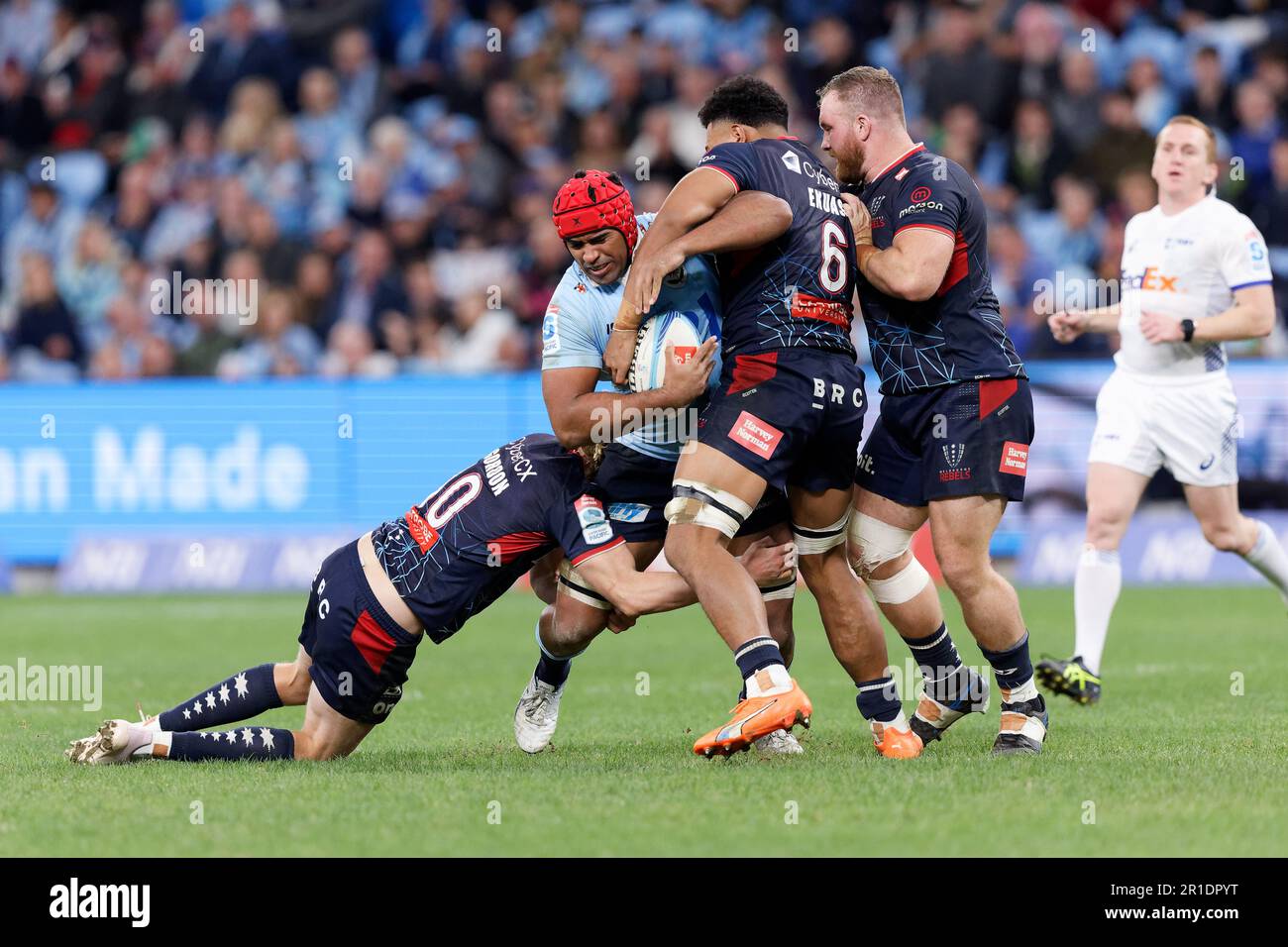Super rugby pacific waratahs hi-res stock photography and images - Alamy