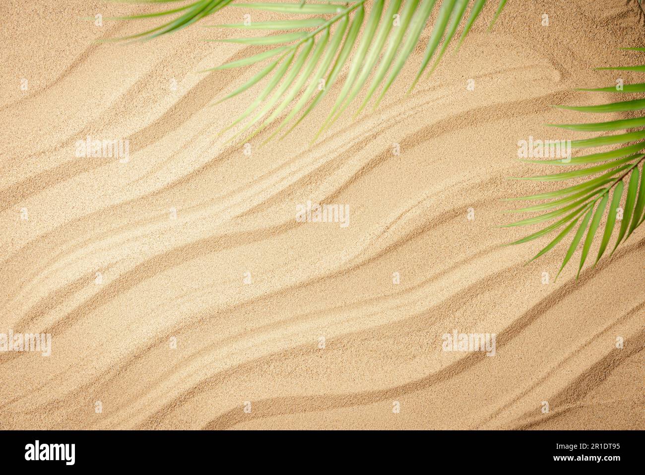 Tropical beach sand Stock Photo - Alamy