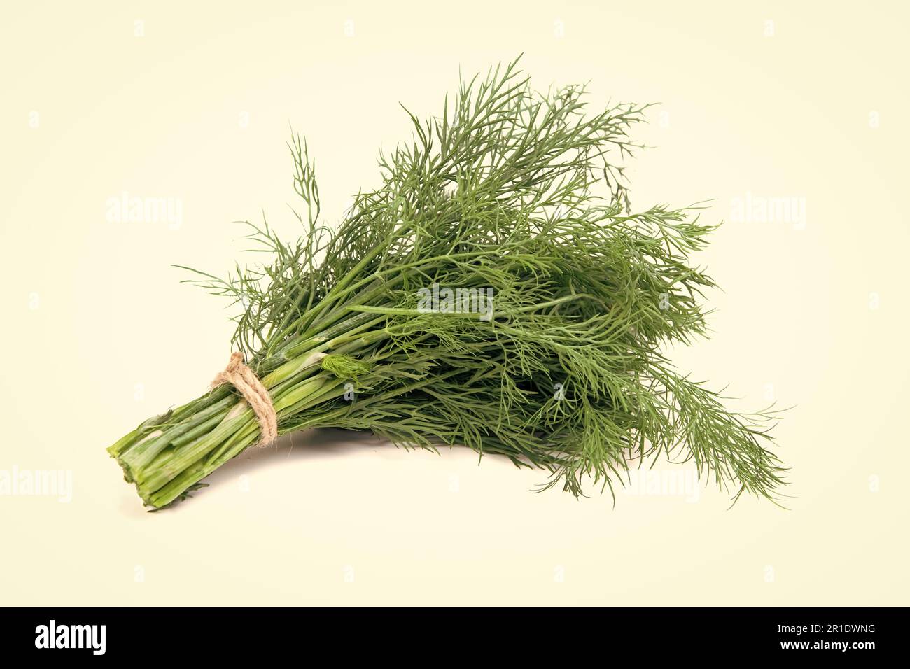 Fresh green dill leaves dillweed herb isolated on white Stock Photo - Alamy