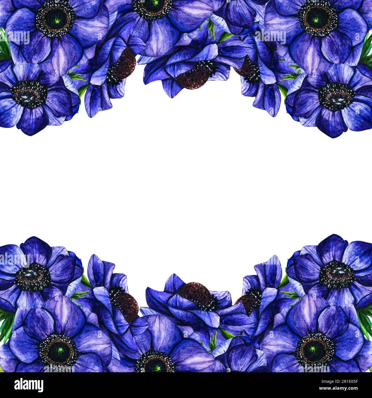 Purple anemone illustration hi-res stock photography and images - Alamy