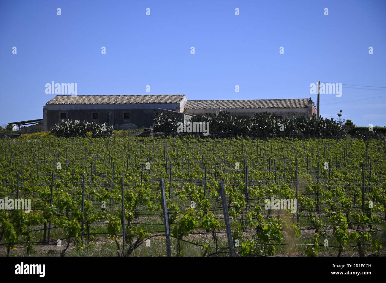 Rural landscape with scenic view of a traditional farmhouse in the ...