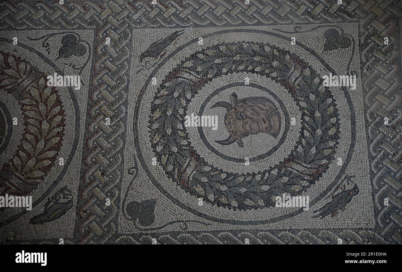 Roman animal motif mosaic on the floor of the Peristyle courtyard at ...