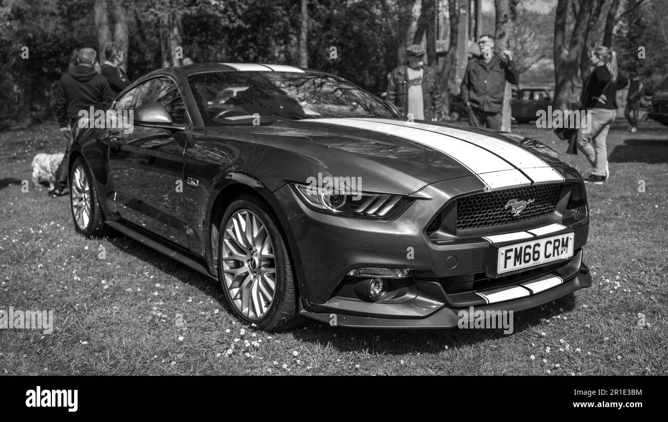 2015 ford mustang Black and White Stock Photos & Images - Alamy