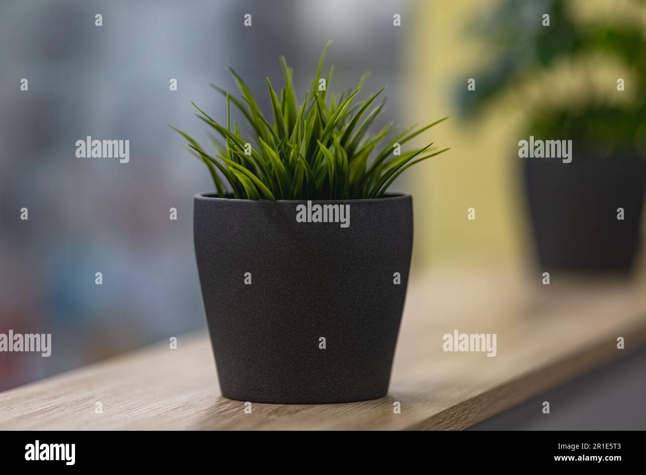 Green artificial grass with a lot of plastic stems in gray concrete ...