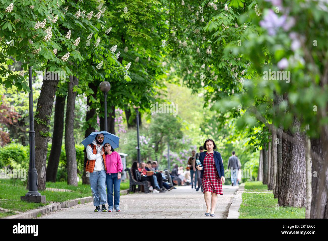 Kyiv Ukraine 13th May 2023 Ukrainians Walk In A Public Park In