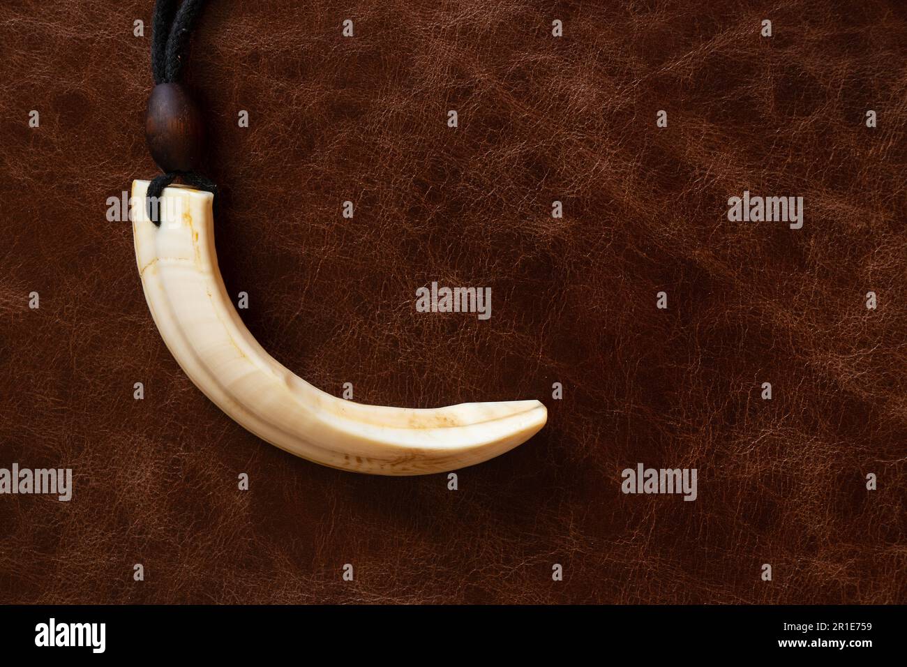 Animal talisman hi-res stock photography and images - Alamy