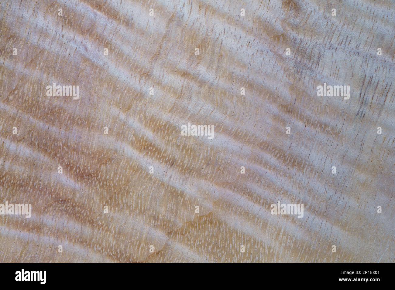 Woodgrain patterns hi-res stock photography and images - Alamy