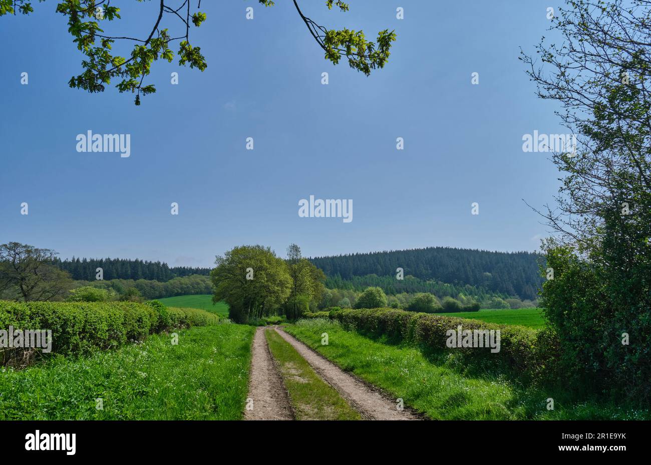 On the Shropshire Way and the Jack Mytton Way heading towards ...
