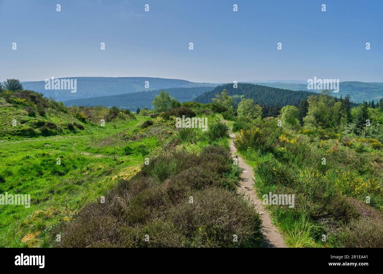 Steppleknoll, Radnor Hill and Sowdley Wood, from Bury Ditches, Clunton ...