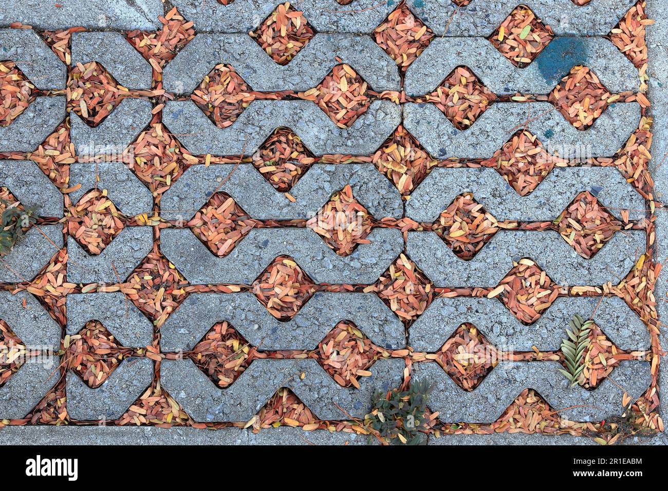 Grit pathway hi-res stock photography and images - Alamy