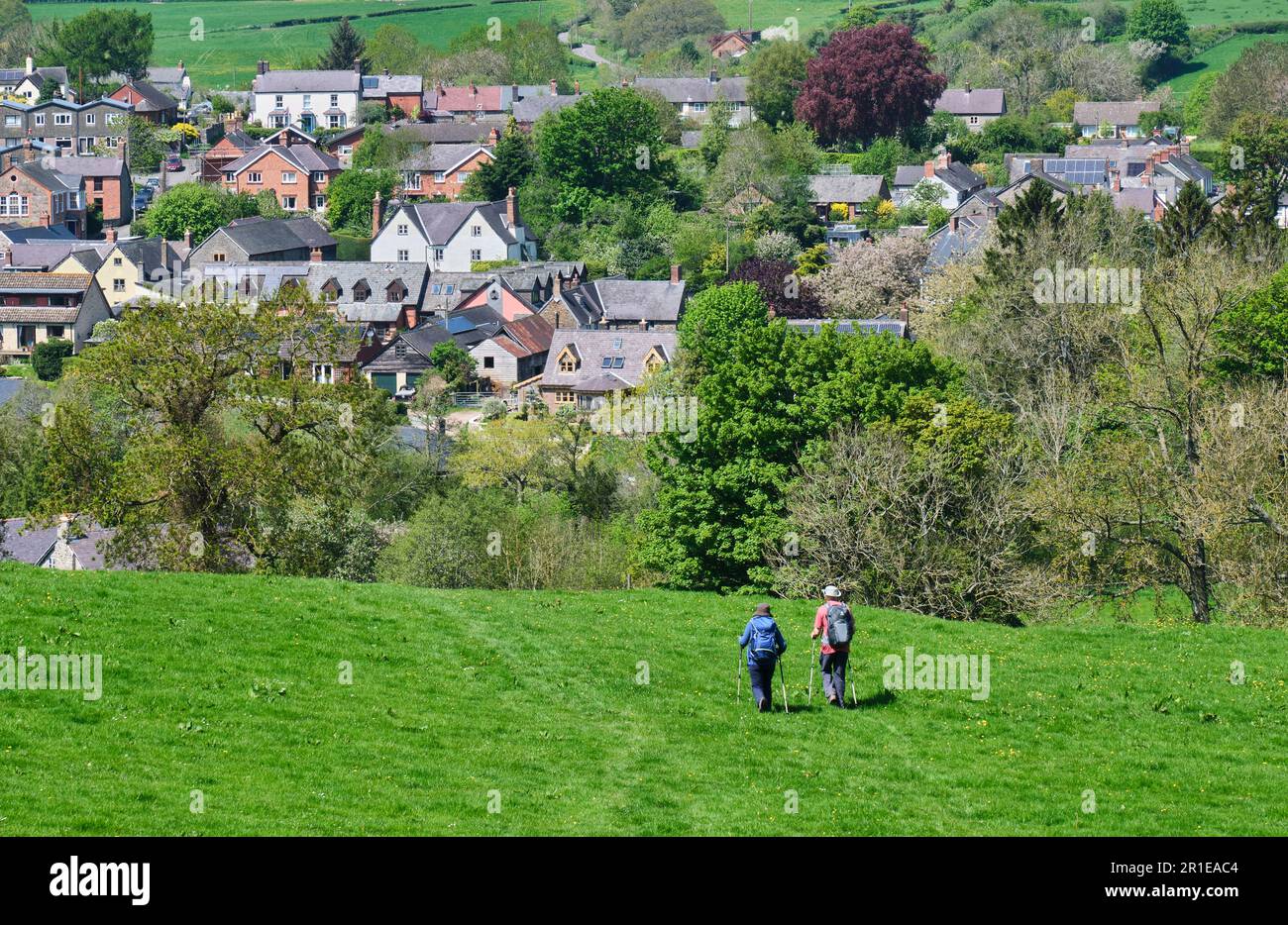 Walkers with poles hi-res stock photography and images - Alamy
