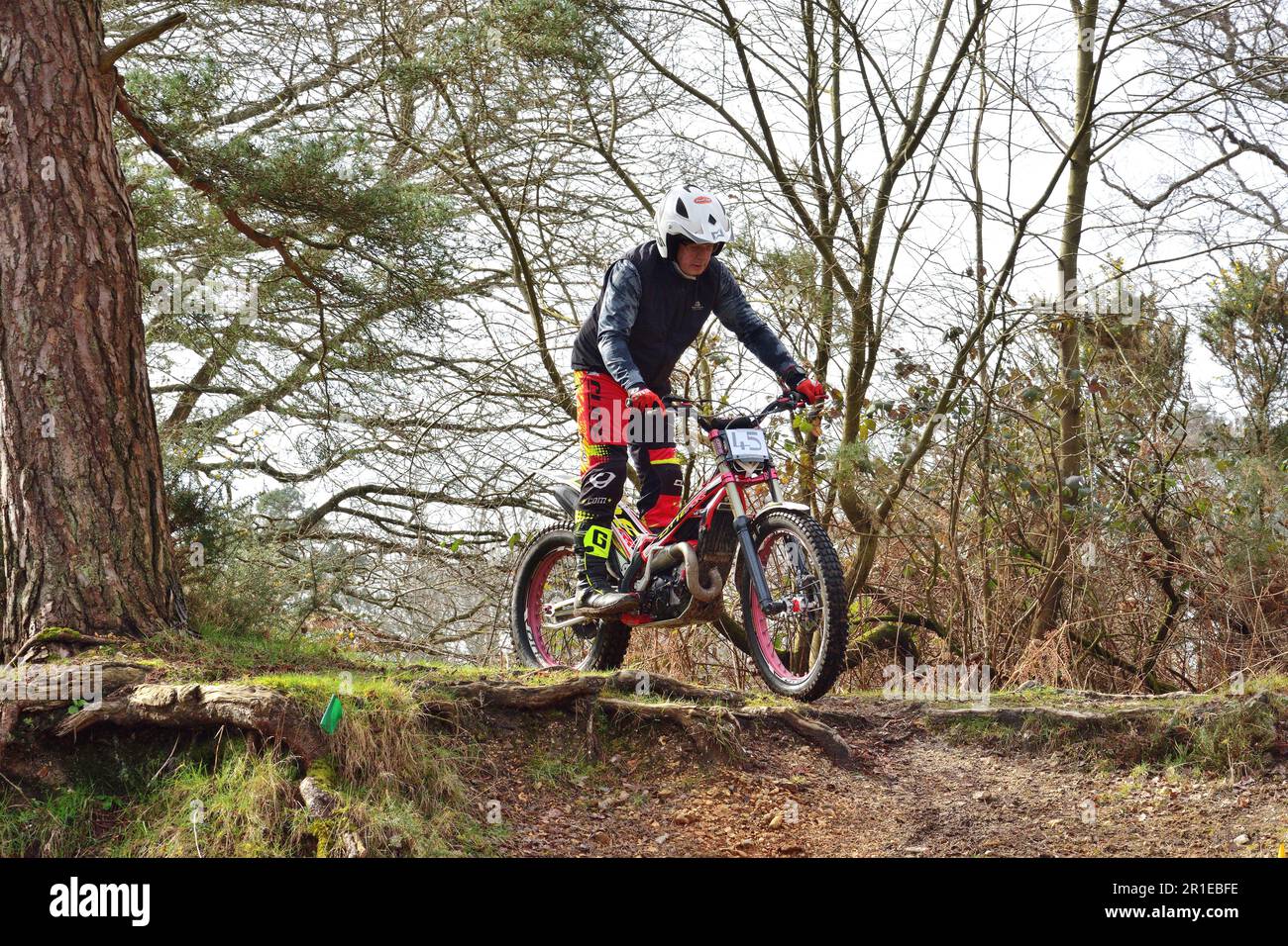 Senior motorcycle trials in the New Forest UK Stock Photo - Alamy