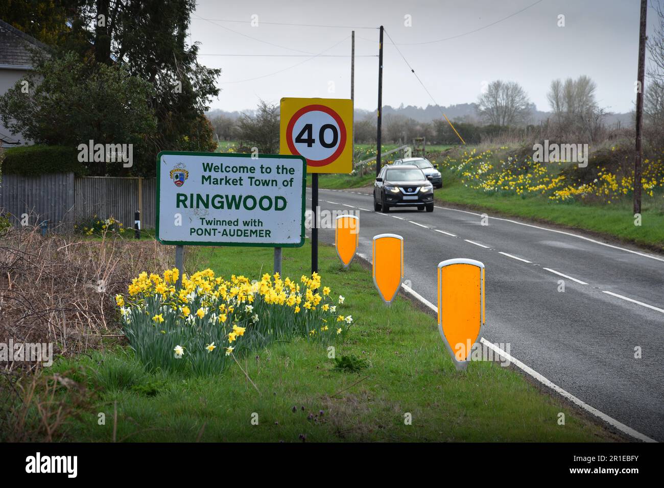 Welcome to Ringwood roadside sign and seasonal yellow daffodils Stock ...