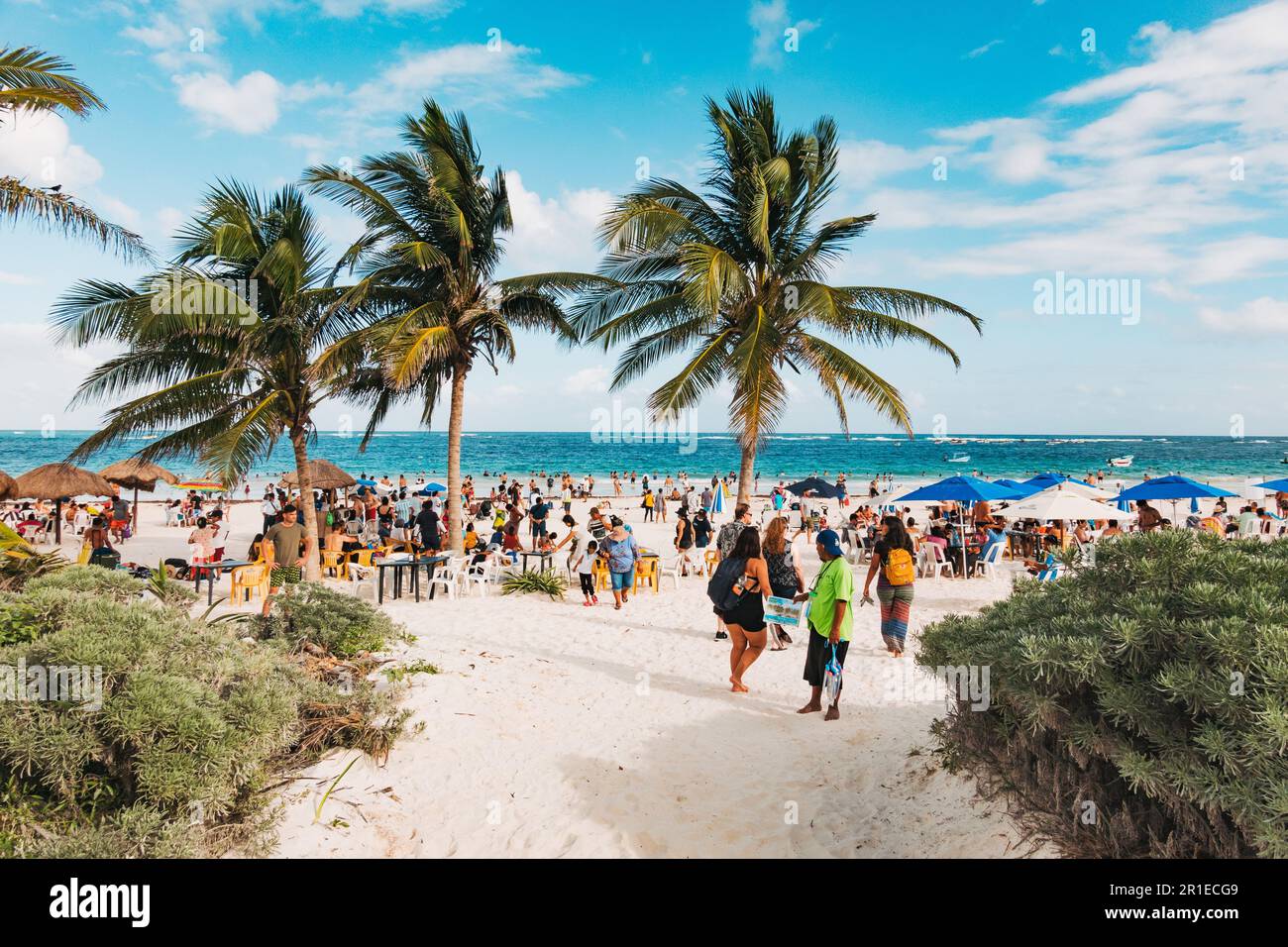 tourists and seaweed cover the beach in Tulum, Mexico. Sargassum algae ...
