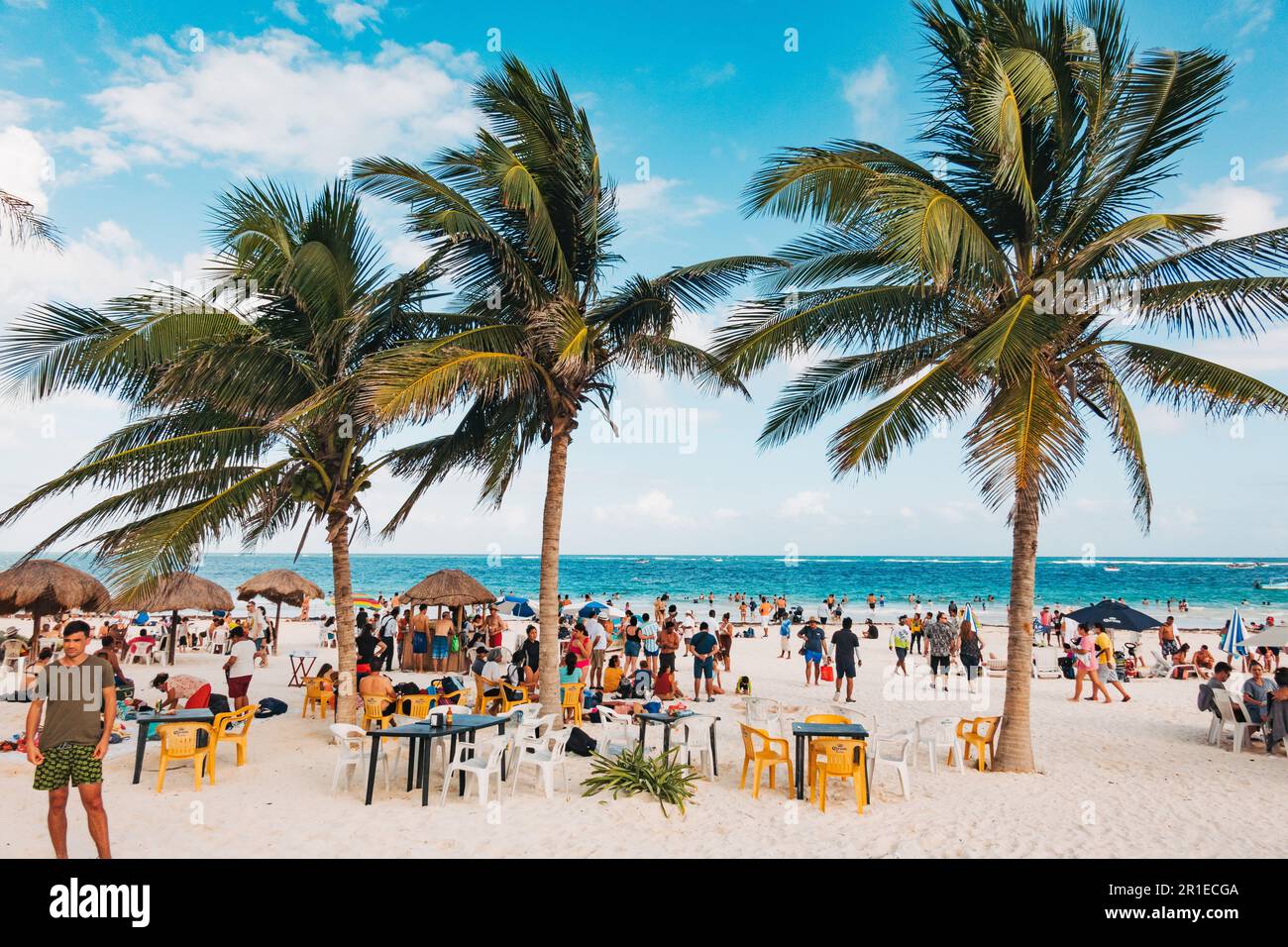 tourists and seaweed cover the beach in Tulum, Mexico. Sargassum algae ...