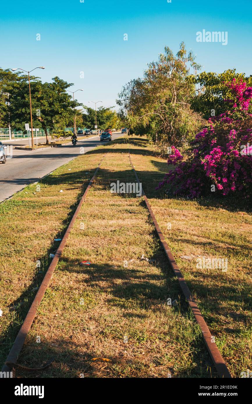 disused railway tracks on a street in Merida, Mexico. The Yucatán ...