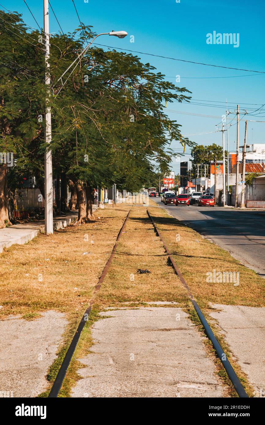 disused railway tracks on a street in Merida, Mexico. The Yucatán ...