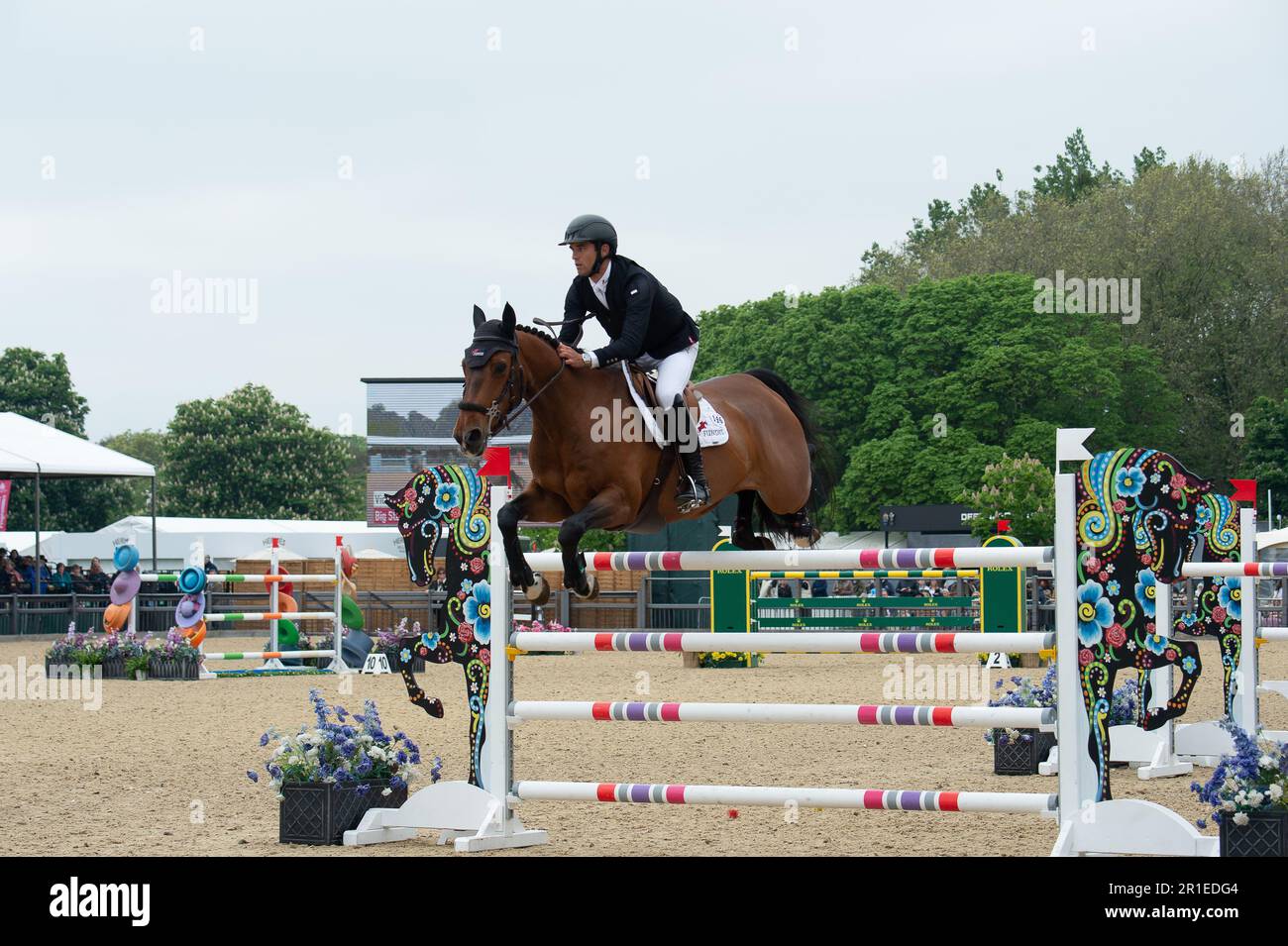 Kingdom of bahrain riders hi-res stock photography and images - Alamy