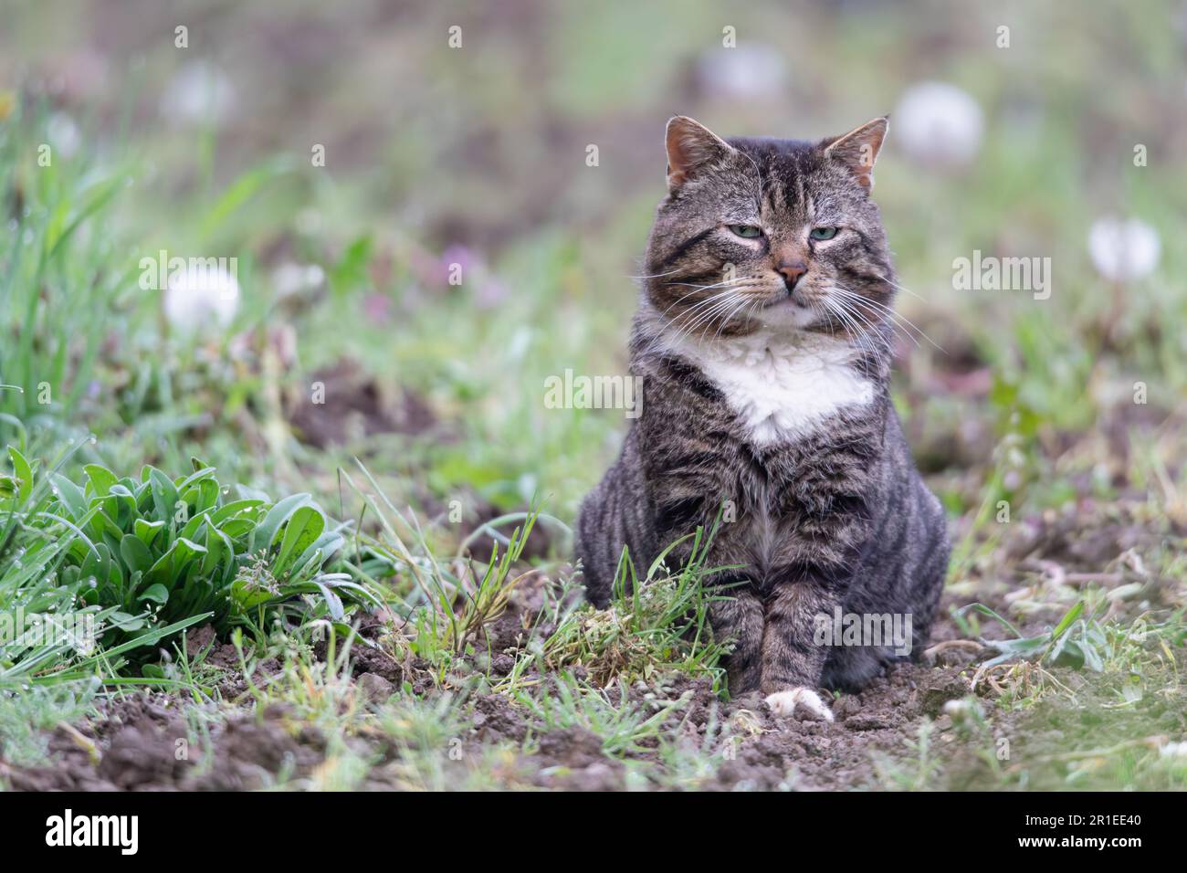 Judgmental hi-res stock photography and images - Alamy
