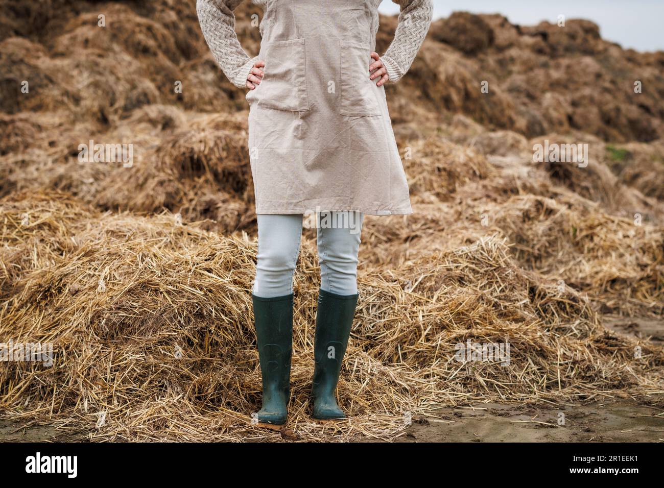 Farmer with apron and rubber boots standing next manure pile with ...