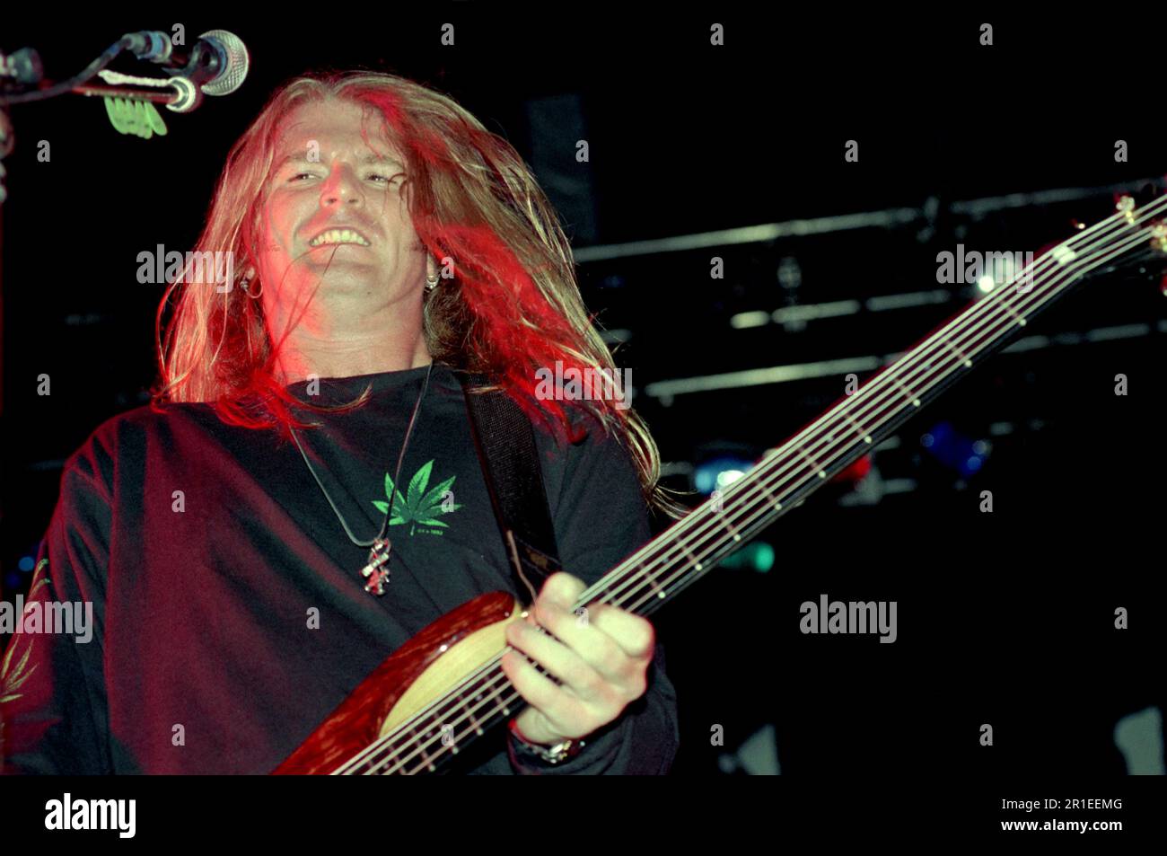 David randi hi-res stock photography and images - Alamy