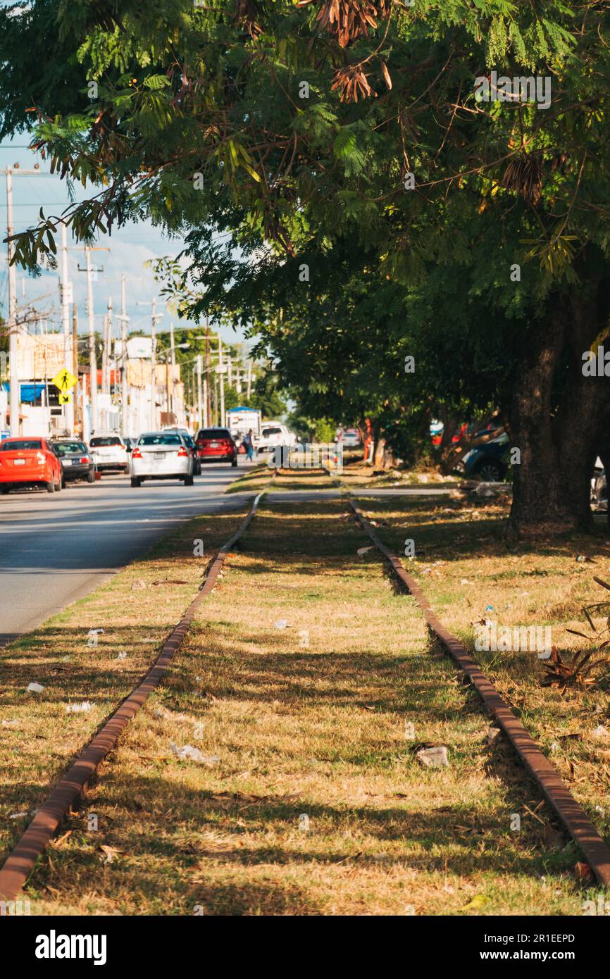Mexico railway yucatan hi-res stock photography and images - Alamy
