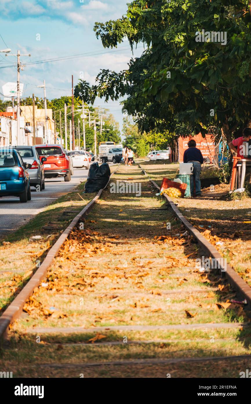 Mexico railway yucatan hi-res stock photography and images - Alamy