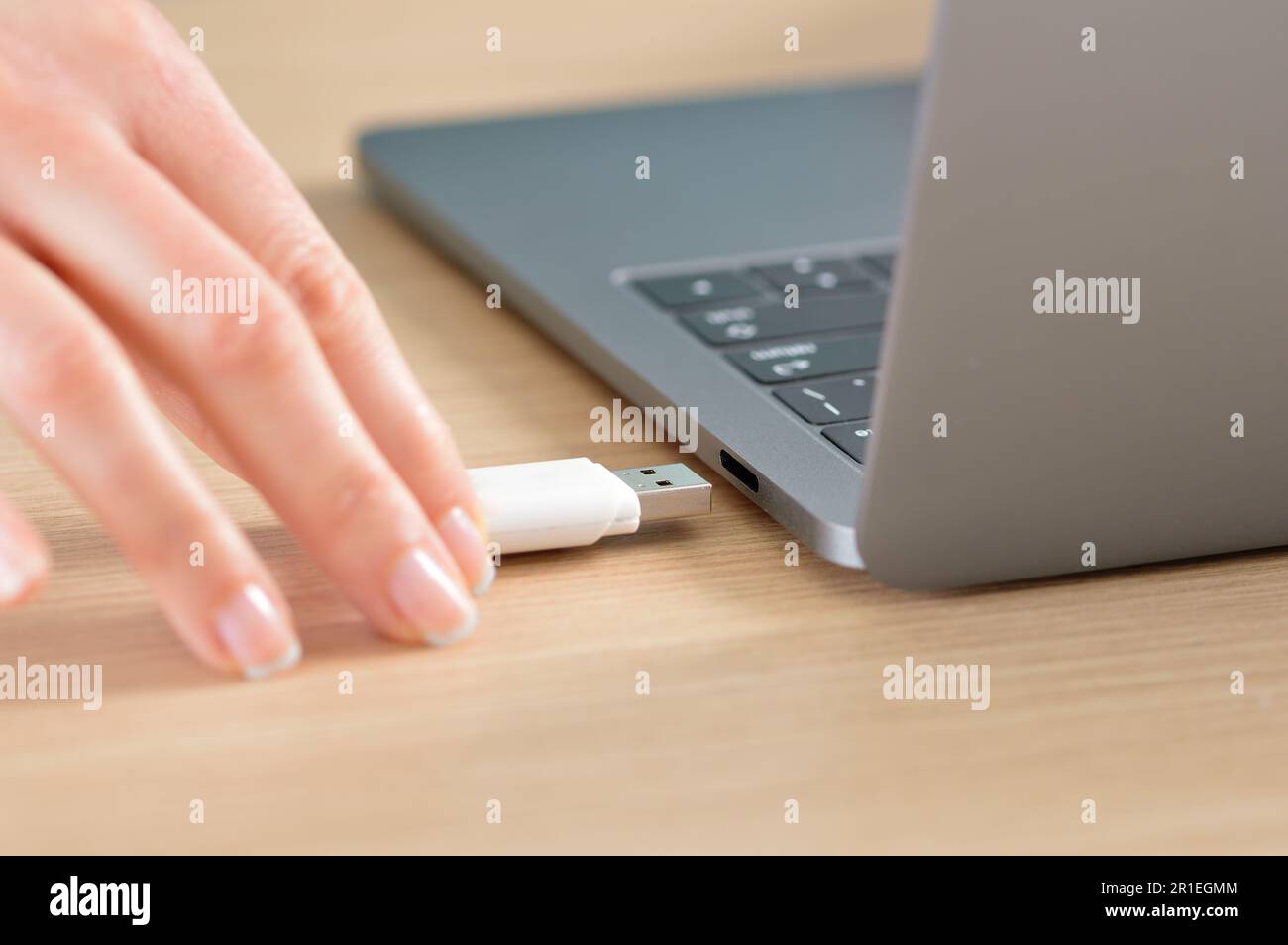 Close up of a woman hand connecting a pendrive in a laptop on a desktop ...